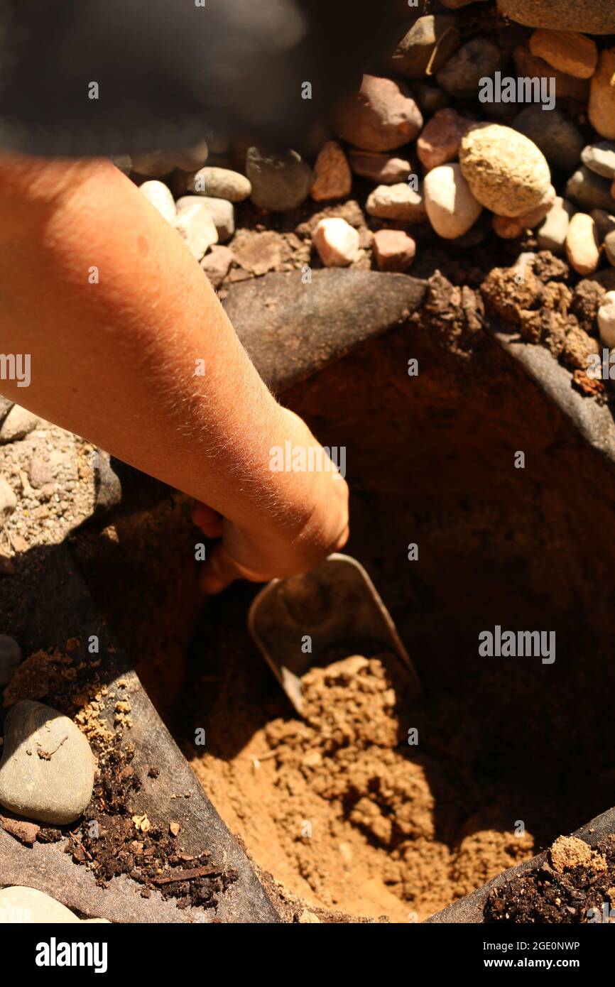 Using a garden trowel to dig a hole Stock Photo - Alamy