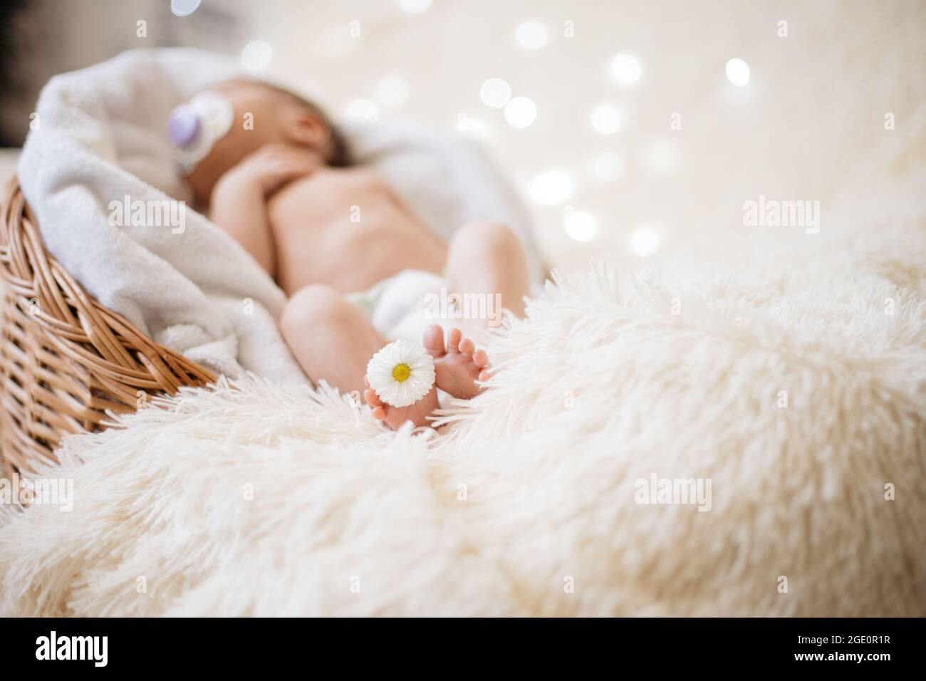 background image of a daisy flower on the leg of a newborn baby Stock ...