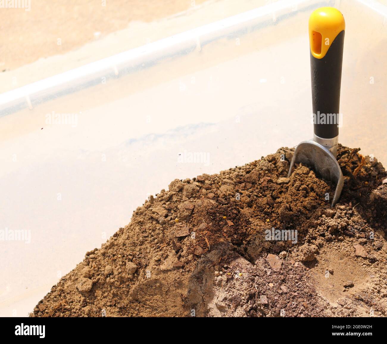 Trowel in a container of dirt Stock Photo - Alamy