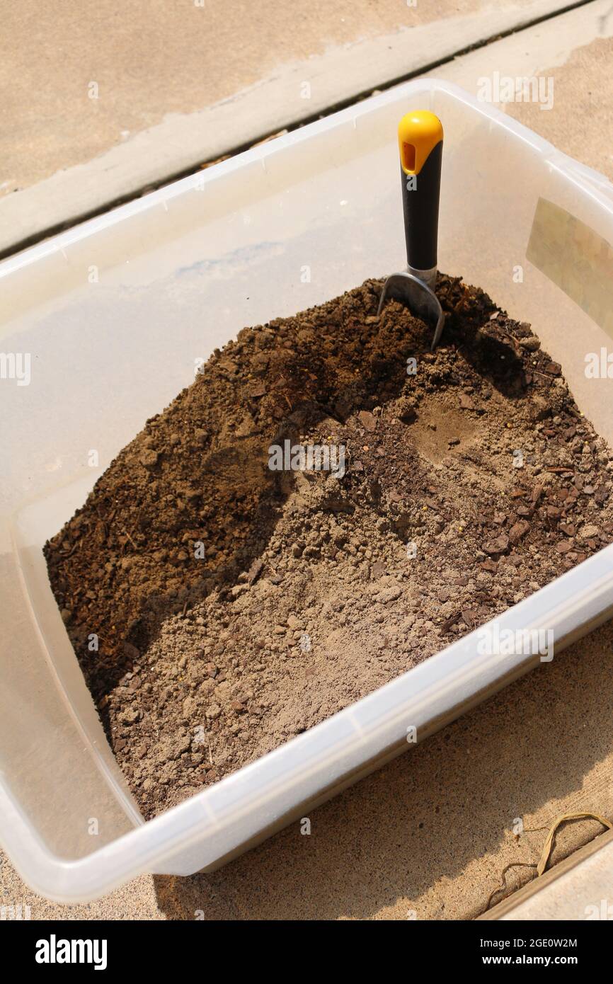 Trowel in a container of dirt Stock Photo - Alamy