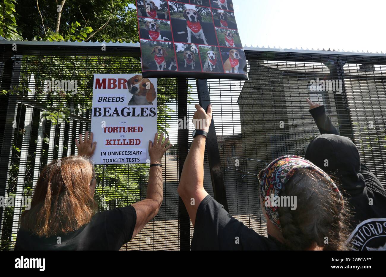 Huntingdon, UK. 15th Aug, 2021. Protesters hold up signs and placards ...