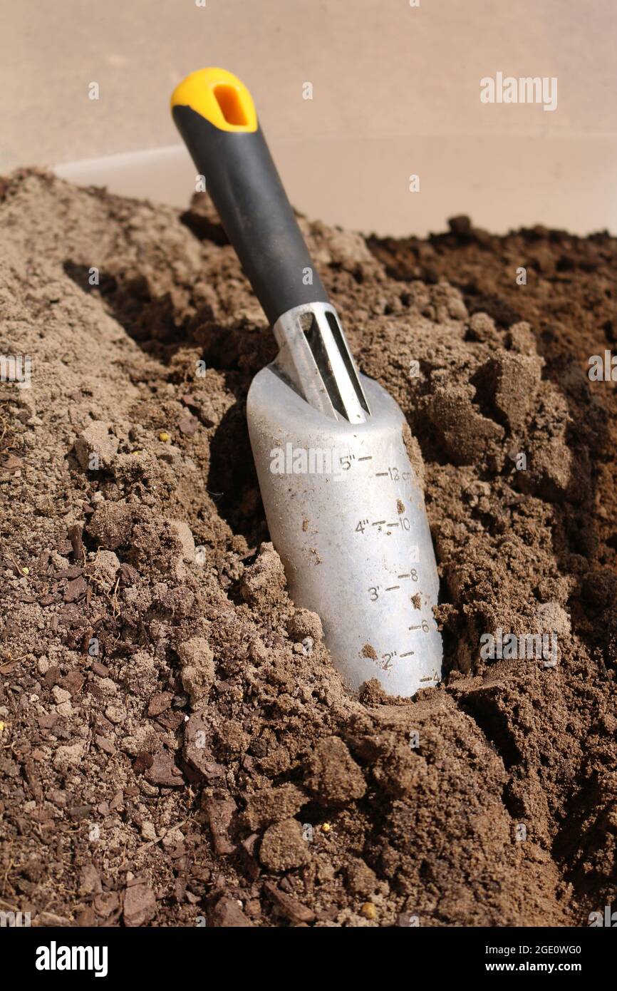 Trowel in a container of dirt Stock Photo - Alamy