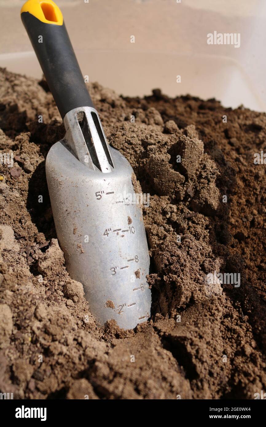 Trowel in a container of dirt Stock Photo - Alamy