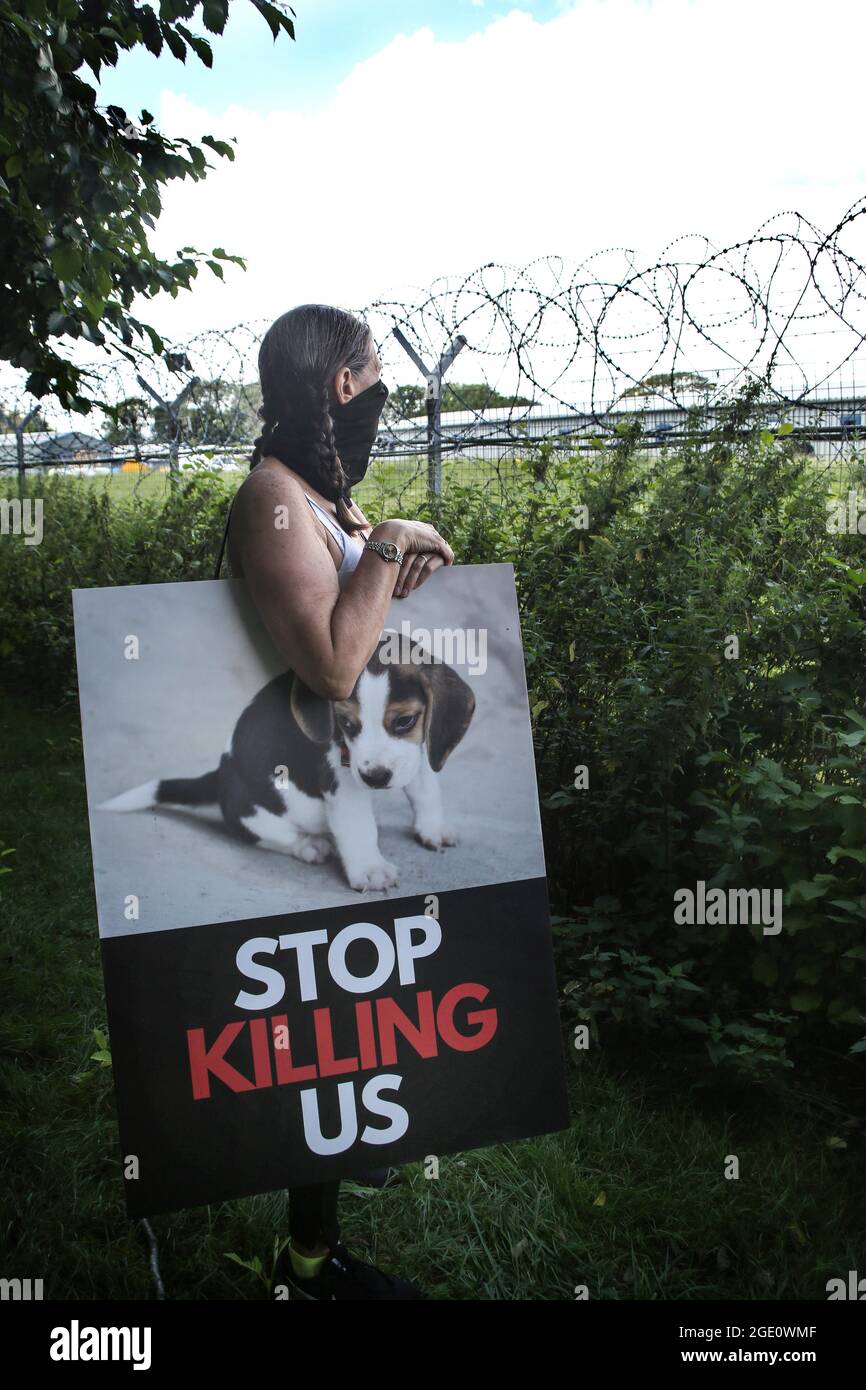 Huntingdon, UK. 15th Aug, 2021. A protester holds a sign with puppy ...