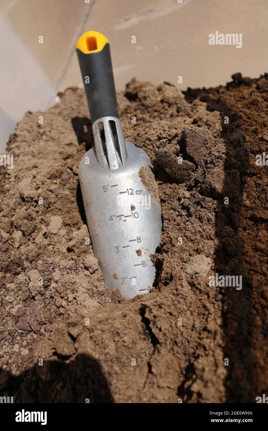 Trowel in a container of dirt Stock Photo - Alamy