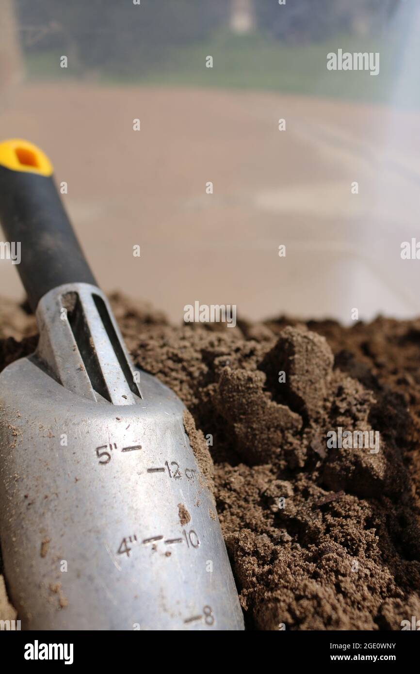 Trowel in a container of dirt Stock Photo - Alamy