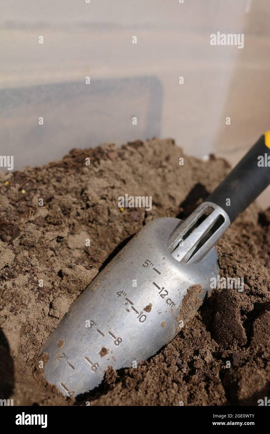 Trowel in a container of dirt Stock Photo - Alamy
