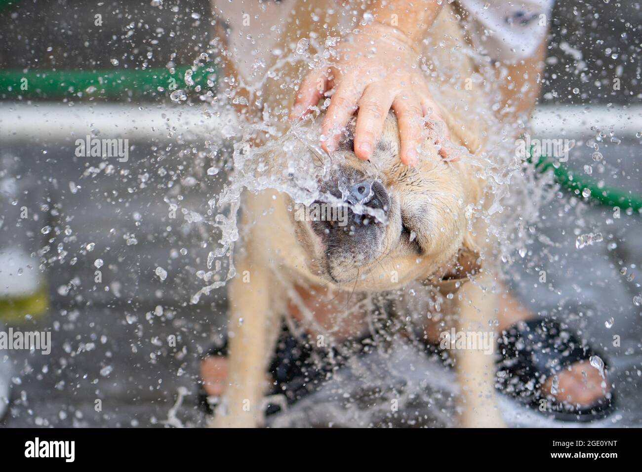 Taking shower detail hi-res stock photography and images - Alamy