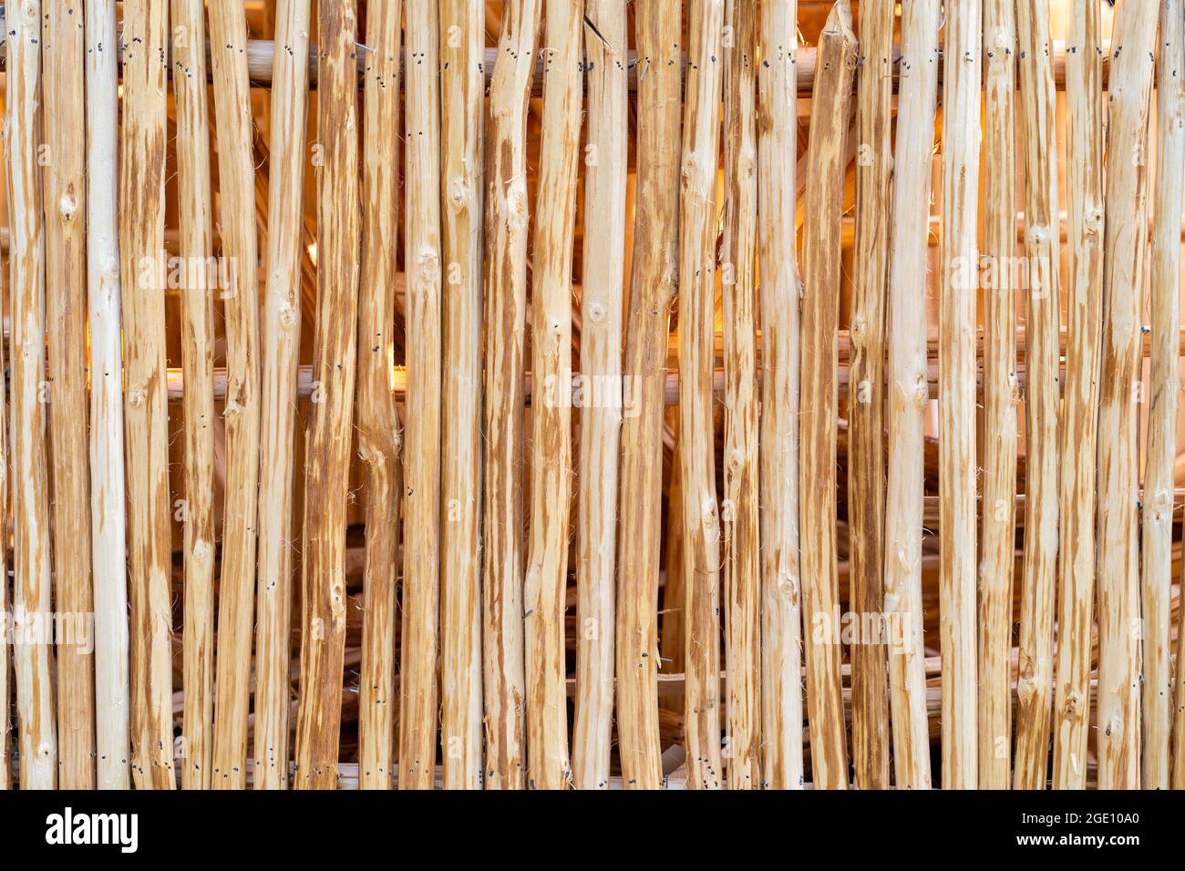 A row of bamboo sticks for fence Stock Photo - Alamy