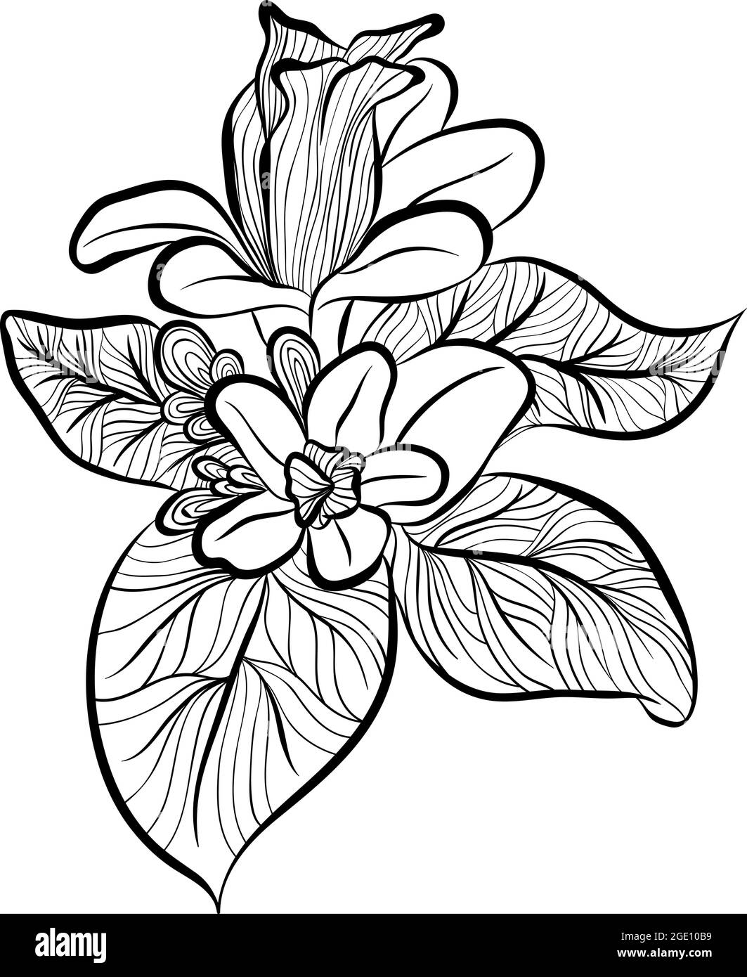 Flower leaves line art Stock Vector Image & Art - Alamy
