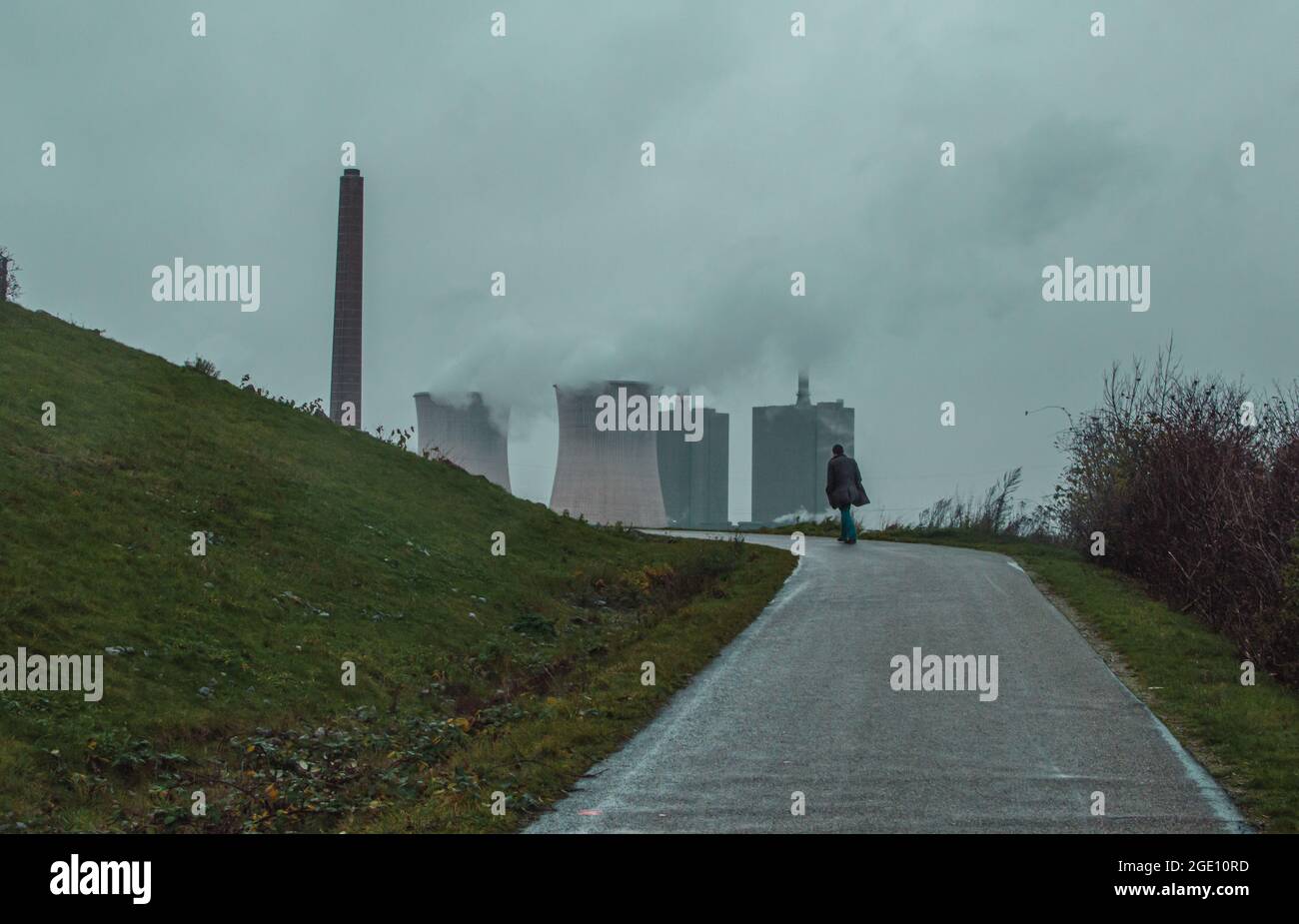 Tiger & Turtle in Germany Stock Photo - Alamy