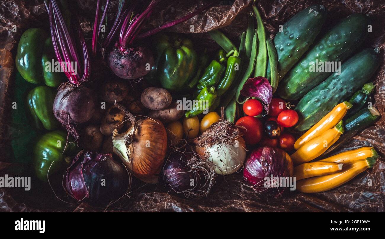 Vegetables cucumber hi-res stock photography and images - Alamy