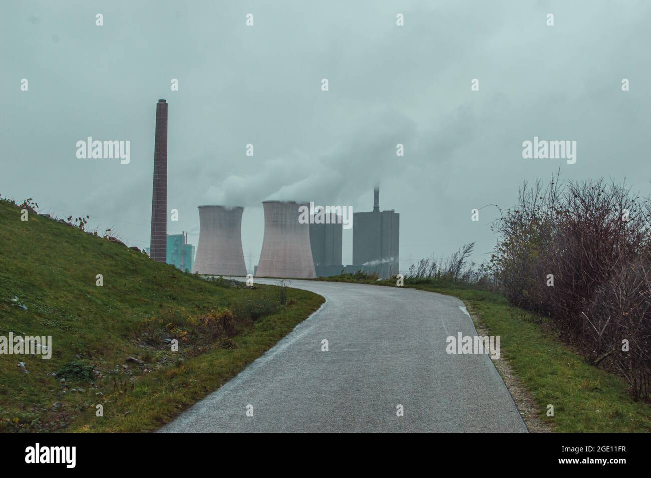Tiger & Turtle in Germany Stock Photo - Alamy