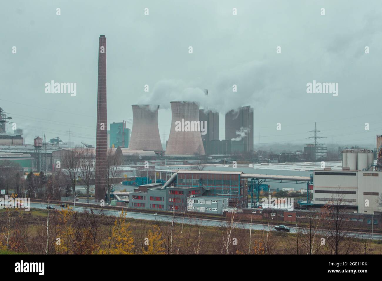 Tiger & Turtle in Germany Stock Photo - Alamy