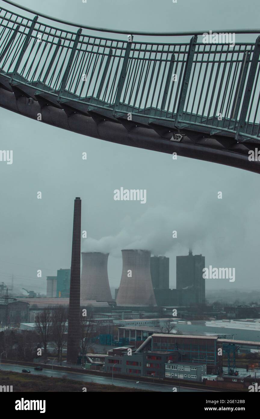 Tiger & Turtle in Germany Stock Photo - Alamy