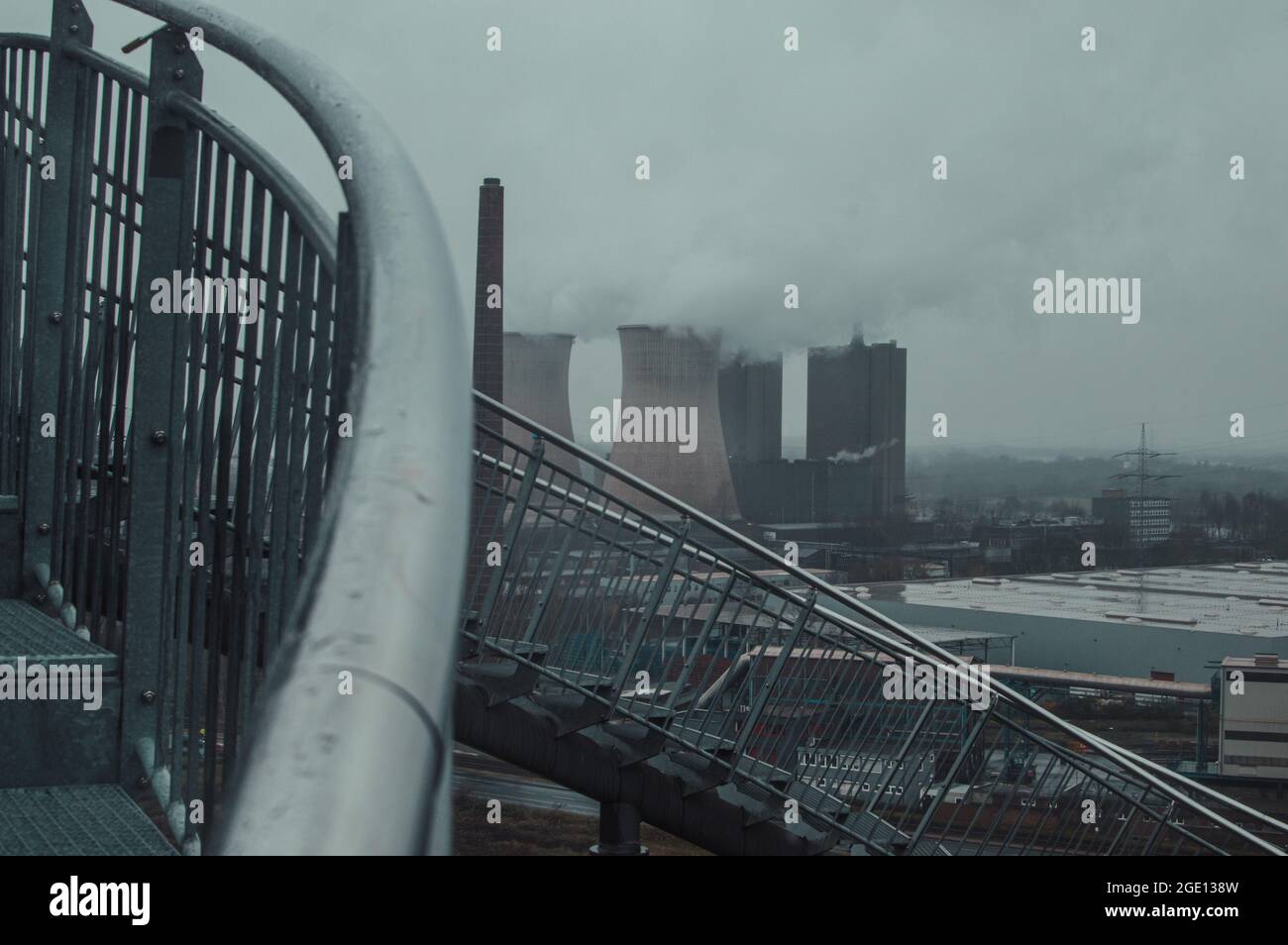 Tiger & Turtle in Germany Stock Photo - Alamy