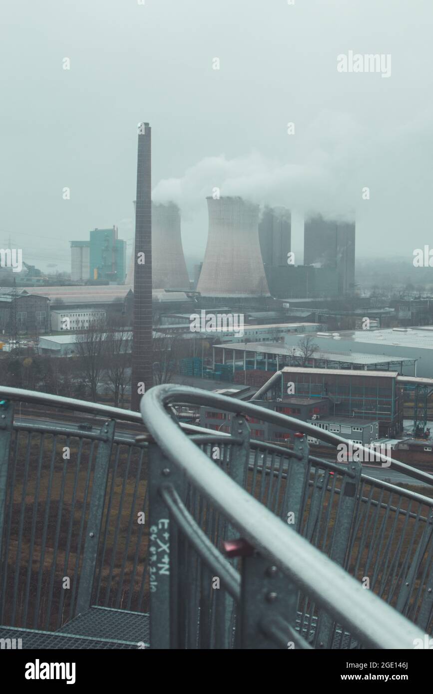 Tiger & Turtle in Germany Stock Photo - Alamy