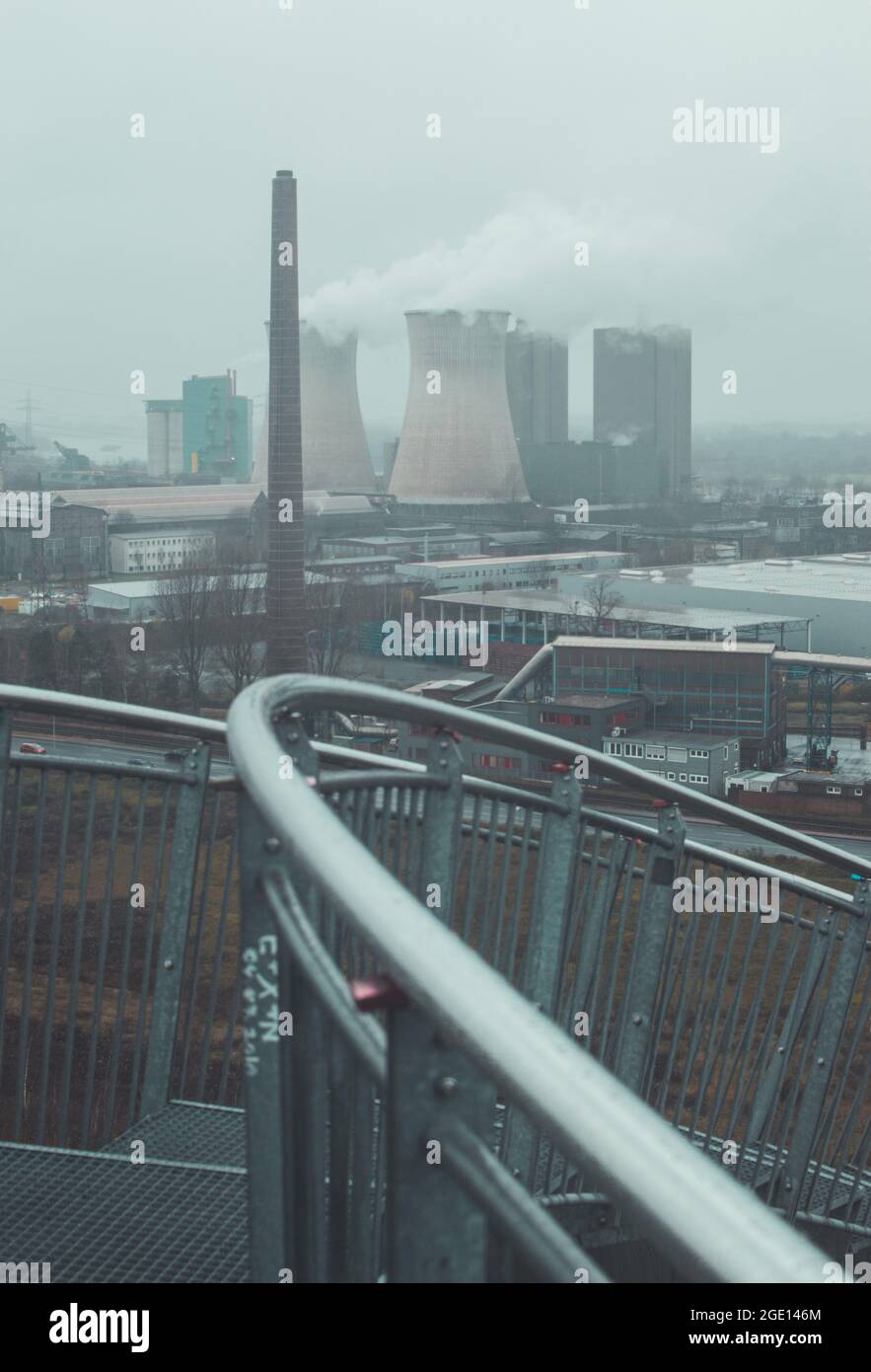 Tiger & Turtle in Germany Stock Photo - Alamy