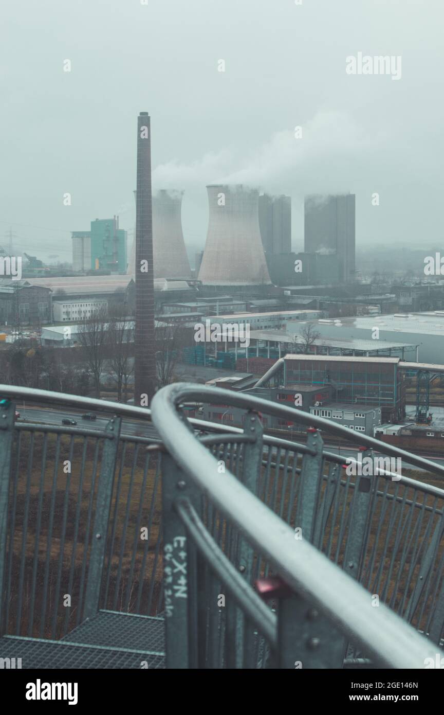 Tiger & Turtle in Germany Stock Photo - Alamy