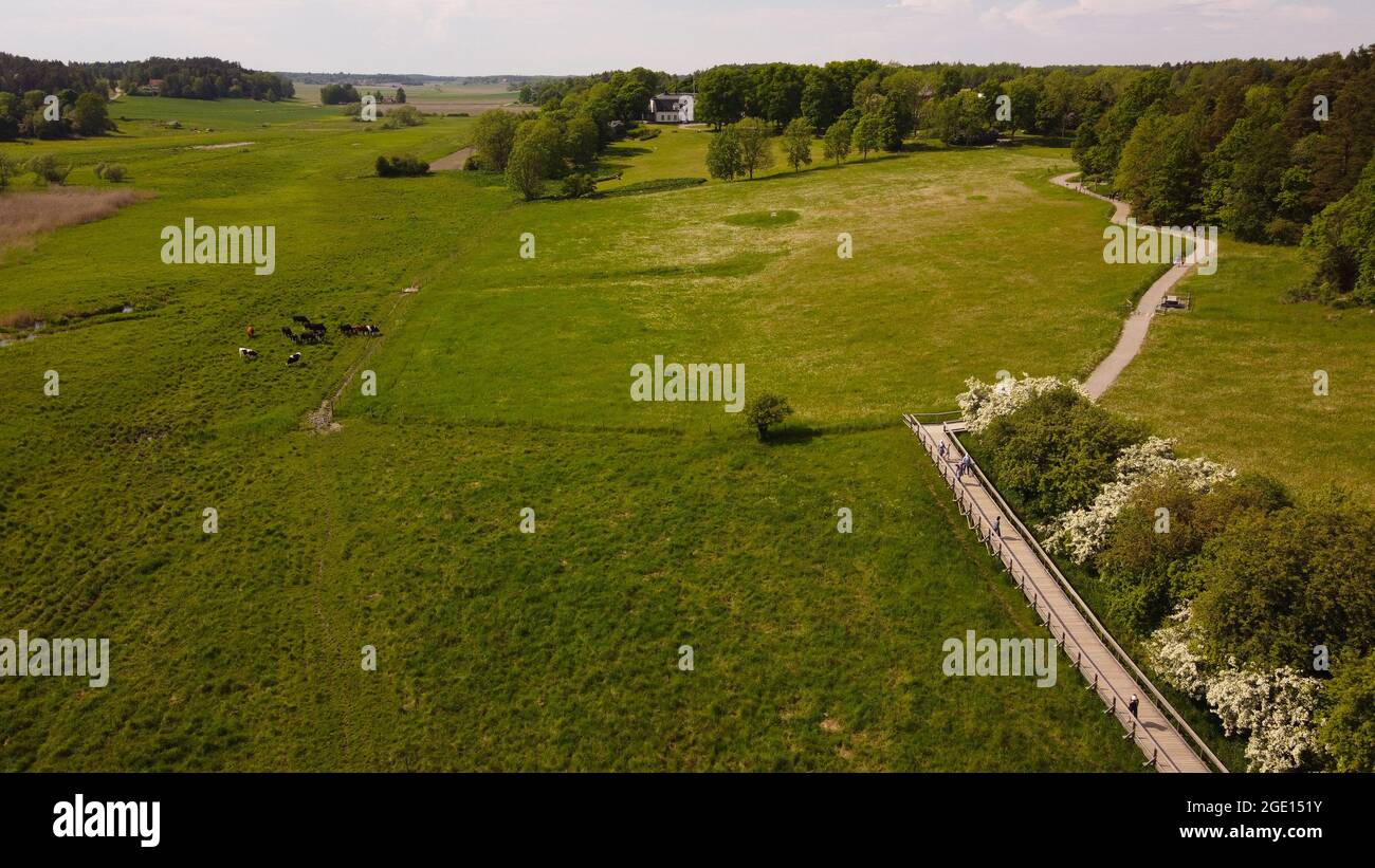A drone shot of Hammarskog natural reserve on the bank of lake Ekoln ...