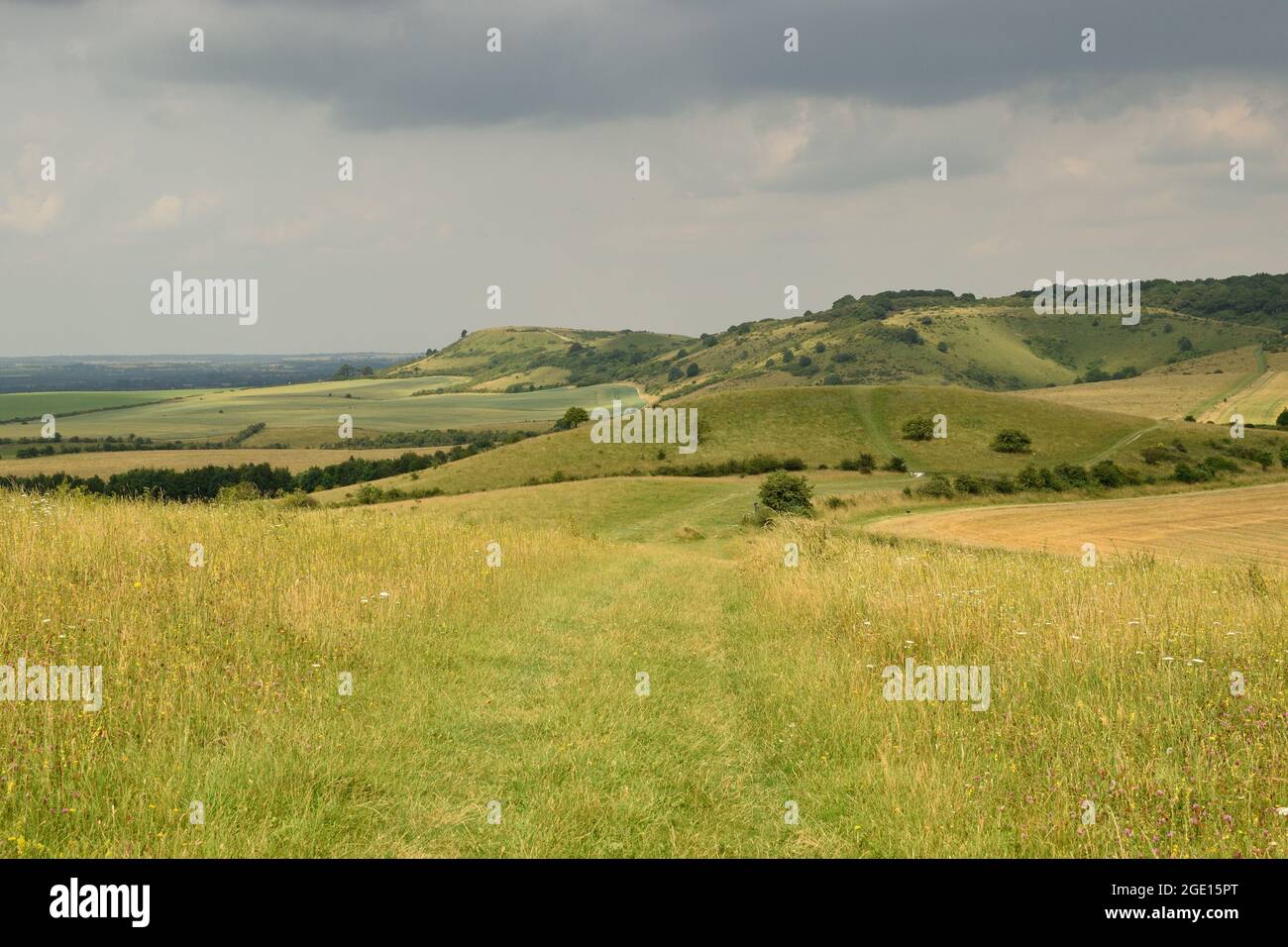 Chiltern Hills from the Ridgeway Trail under a moody sky. England, UK ...