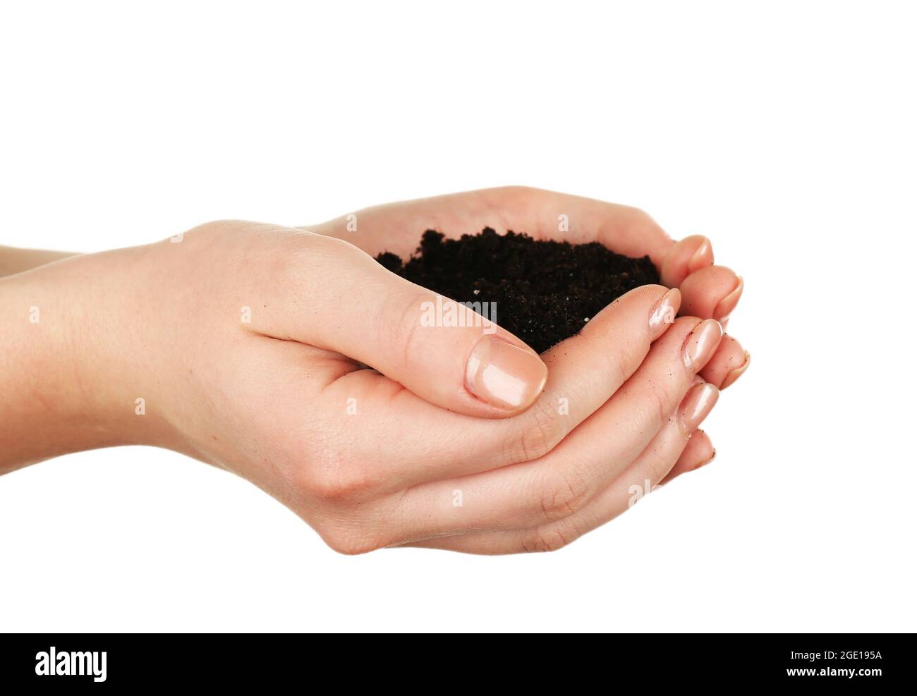 Handful of soil isolated on white Stock Photo - Alamy