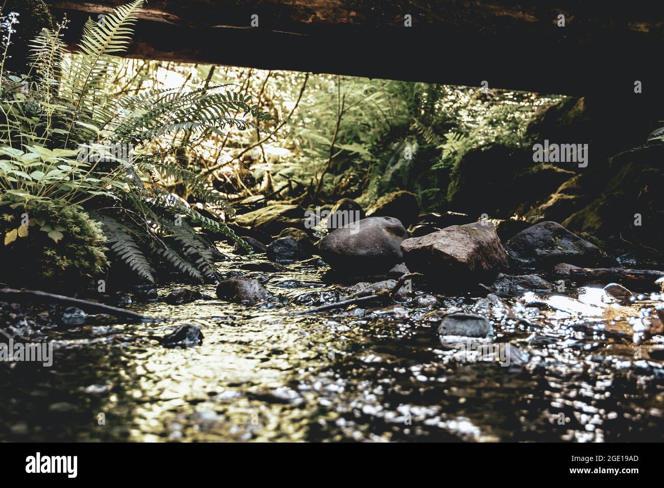 Alamy photos hi-res stock photography and images - Alamy