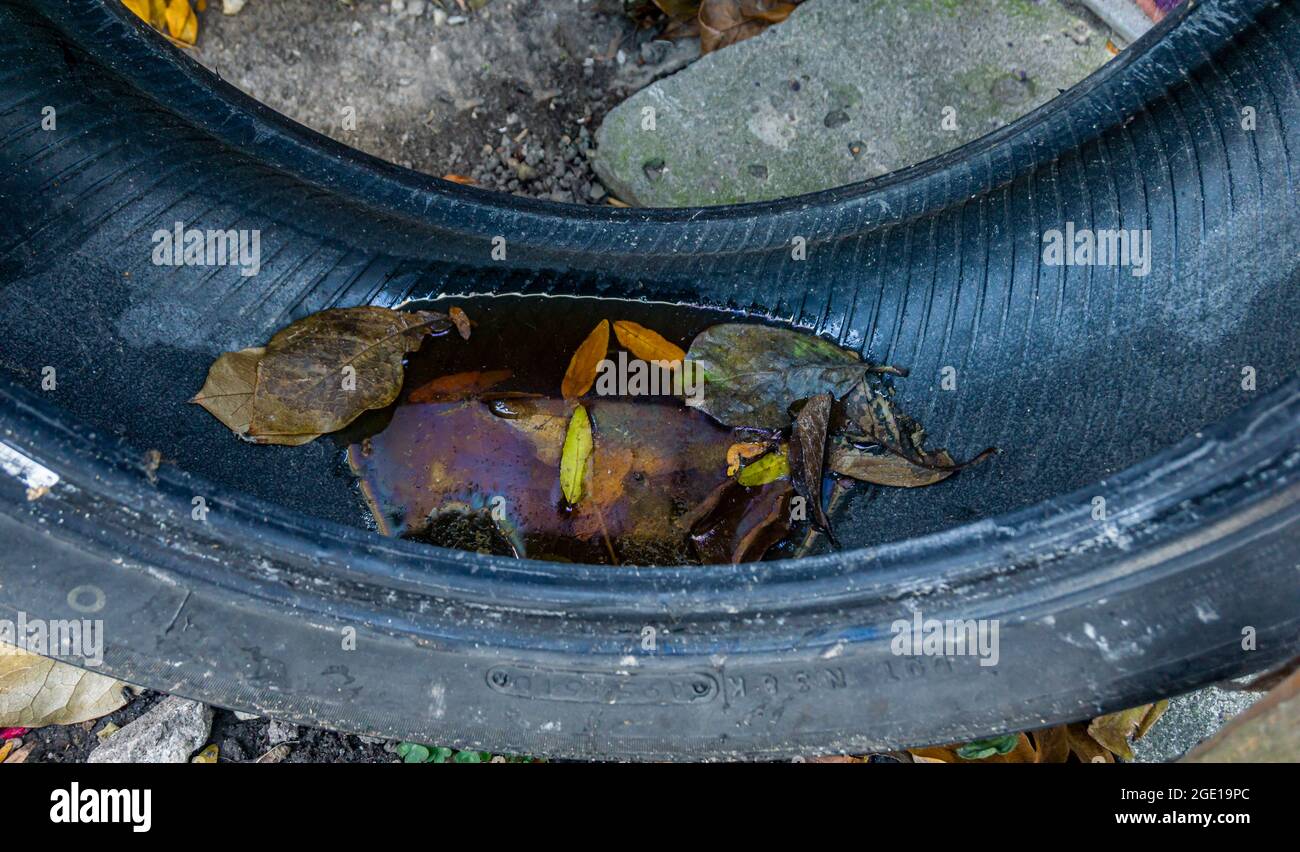 A little puddle of water and loose leaves trapped inside an old vehicle ...