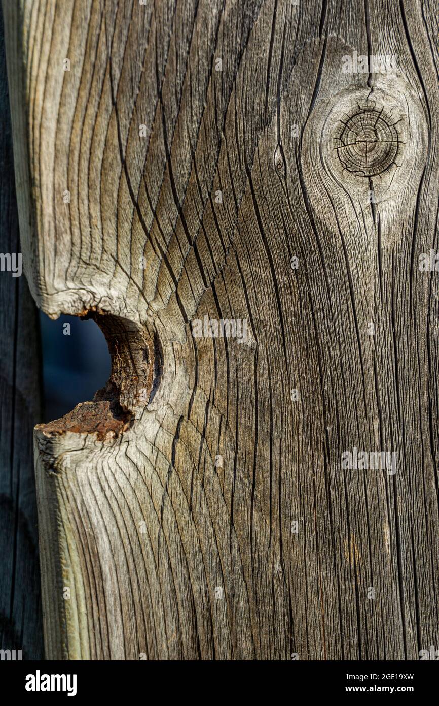 An old wooden plank from a fence in the shape of a sideview figure with ...