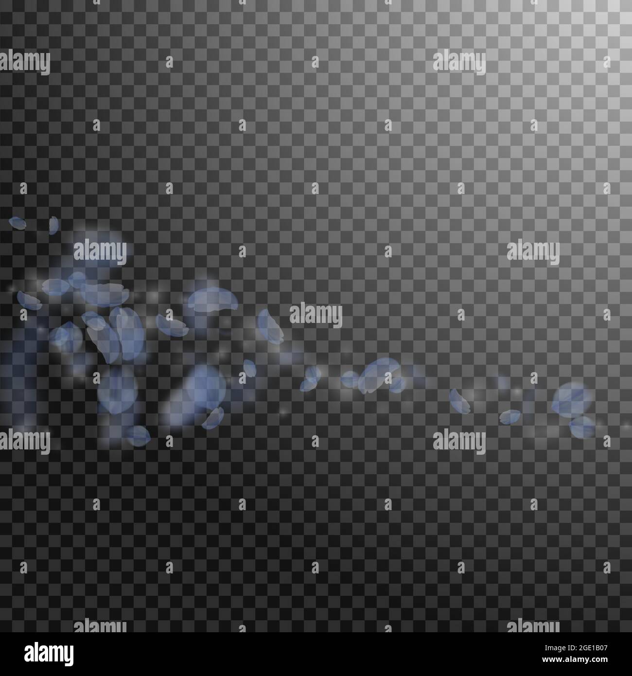 Light blue flower petals falling down. Actual romantic flowers comet ...