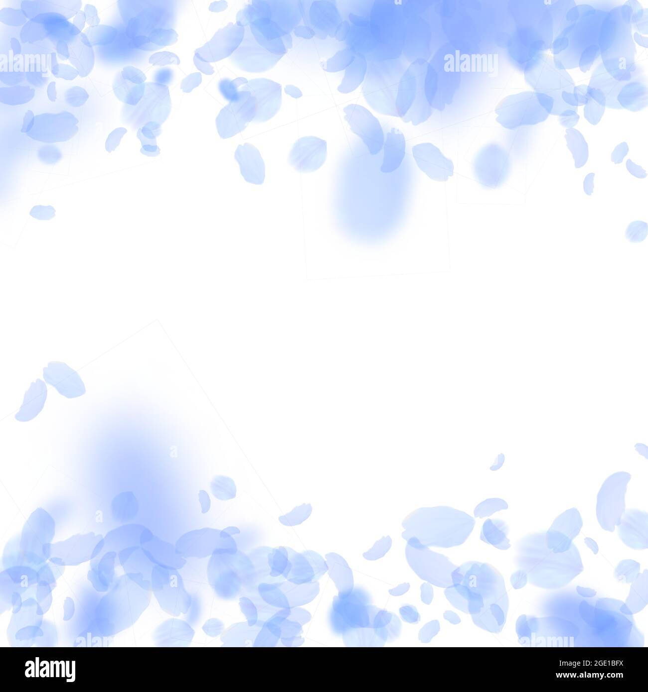 Dark blue flower petals falling down. Fancy romantic flowers falling ...
