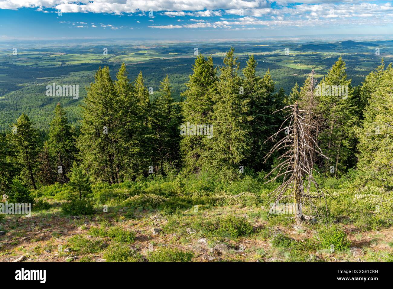 Vast view across farm land and forest in northern Idaho Stock Photo - Alamy
