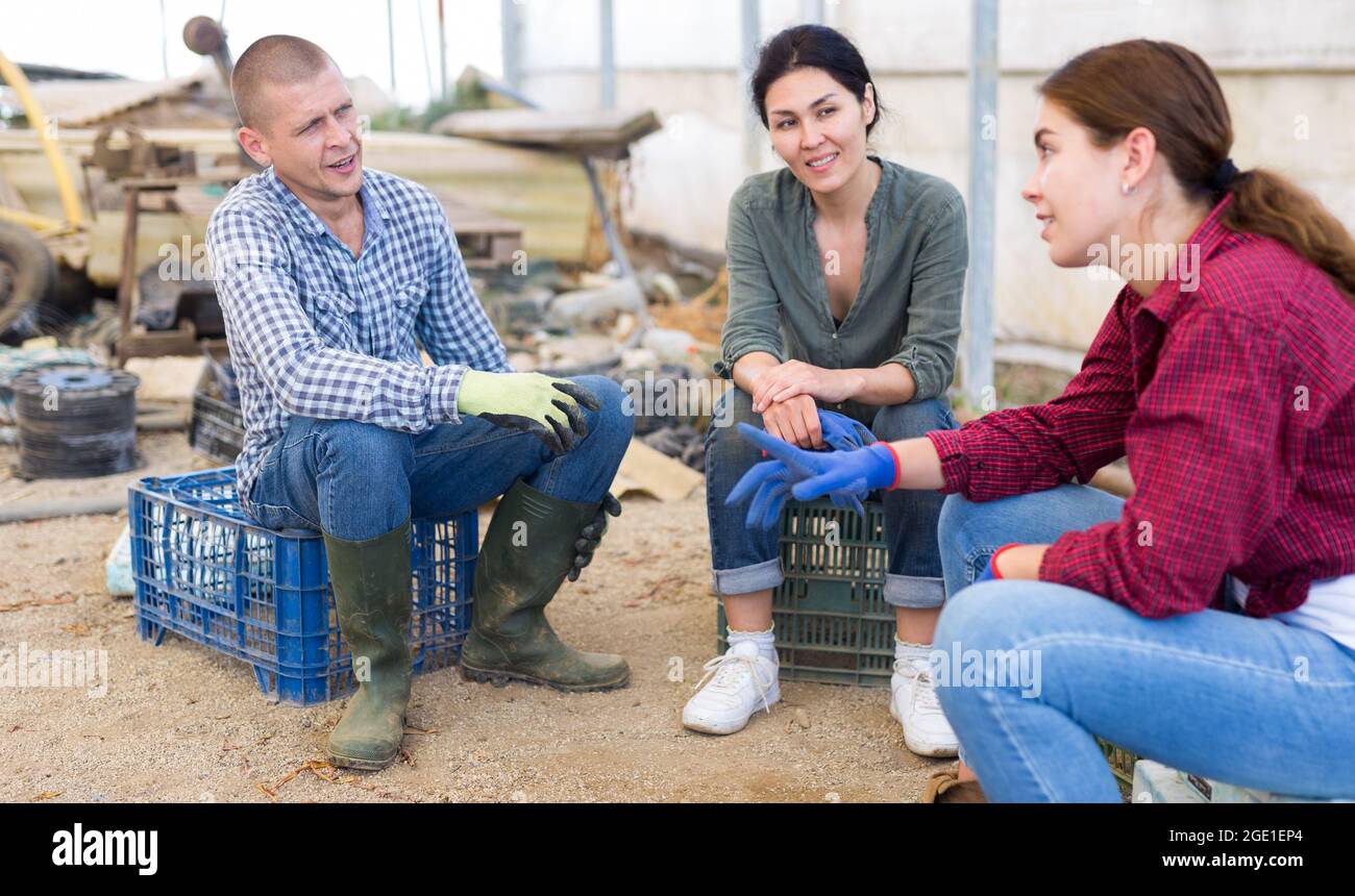 Three workers talking Stock Photo - Alamy