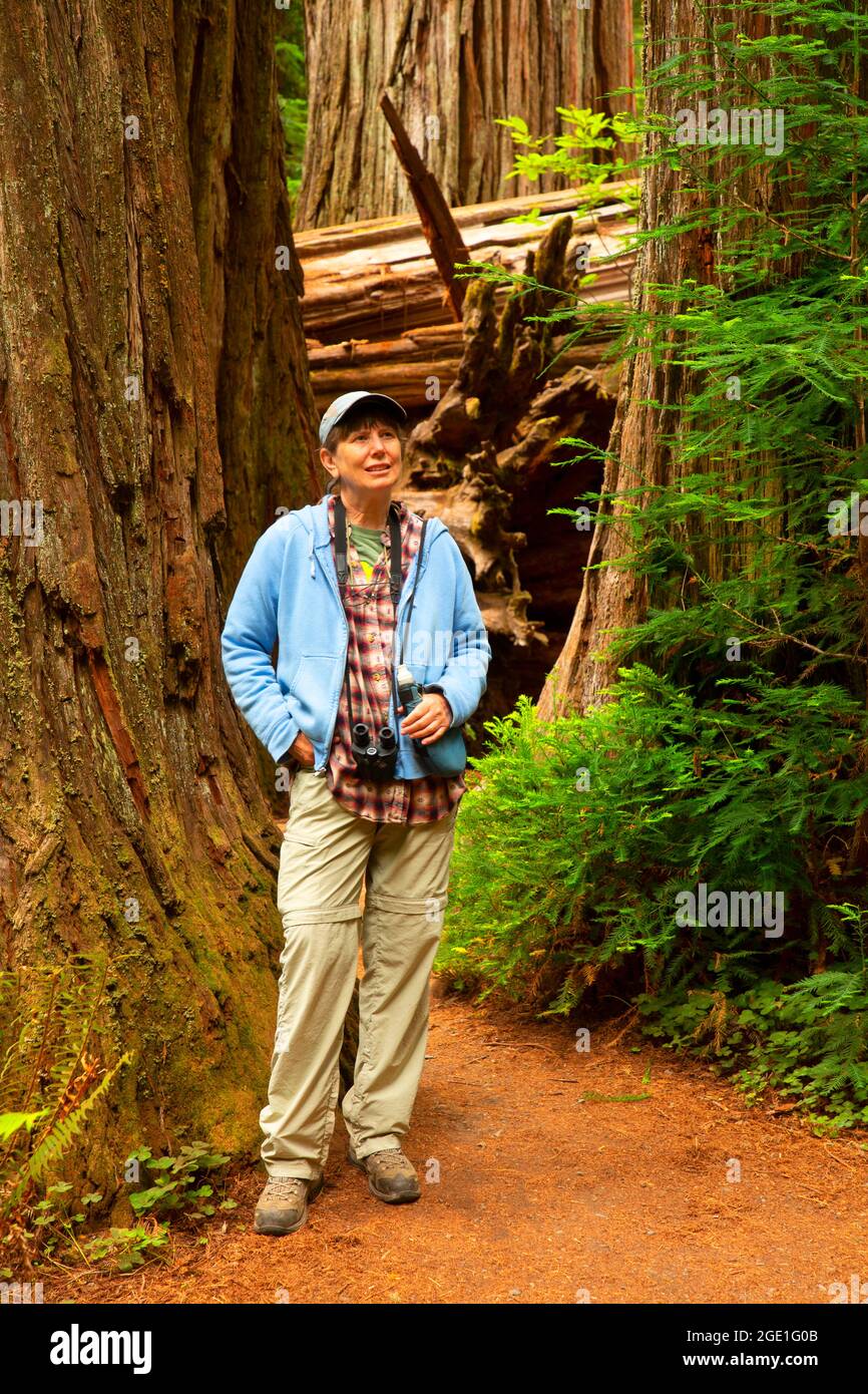 Simpson reed trail hi-res stock photography and images - Alamy