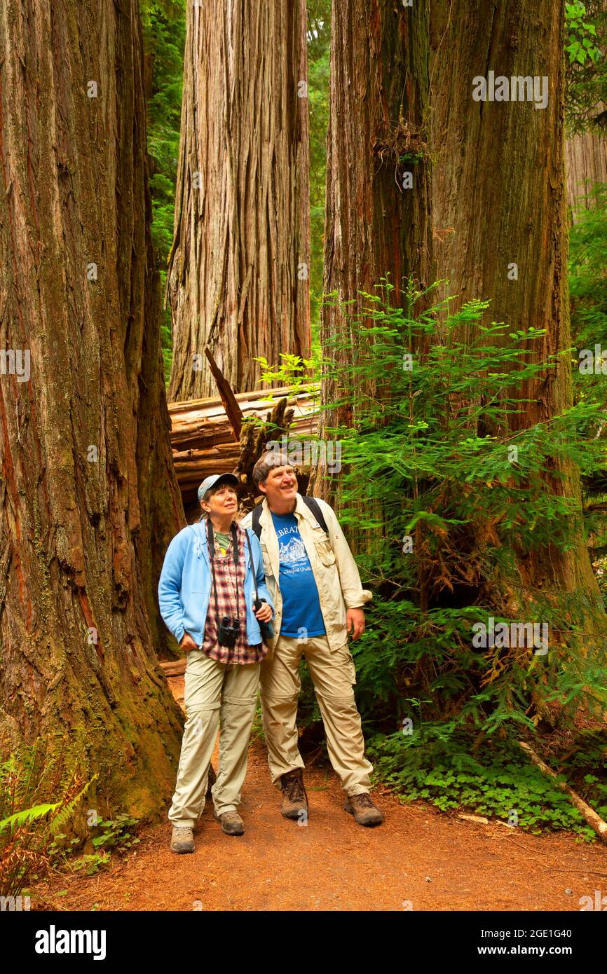 Simpson reed trail hi-res stock photography and images - Alamy