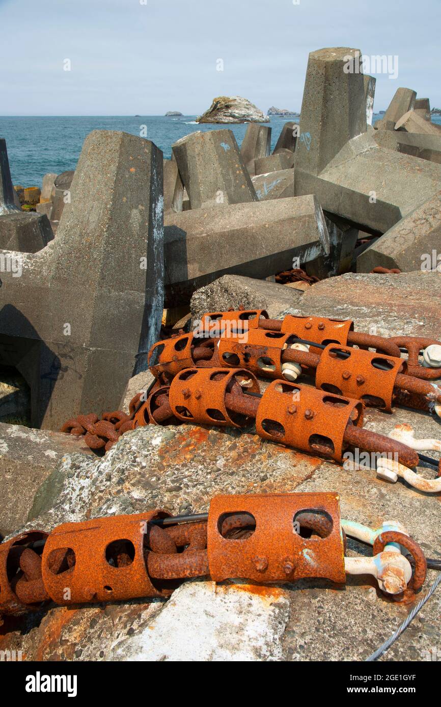 Tetrapods hi-res stock photography and images - Alamy