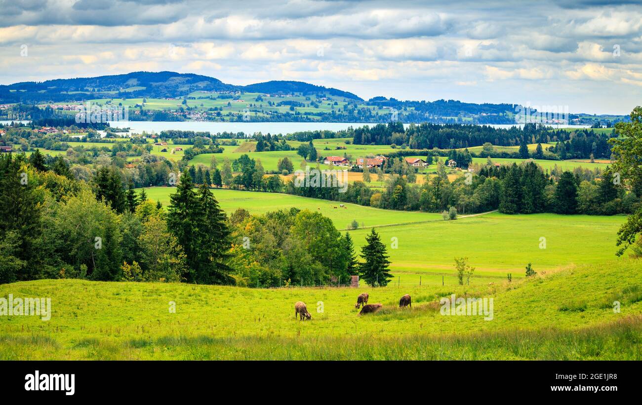 Bavaria germany countryside hi-res stock photography and images - Alamy