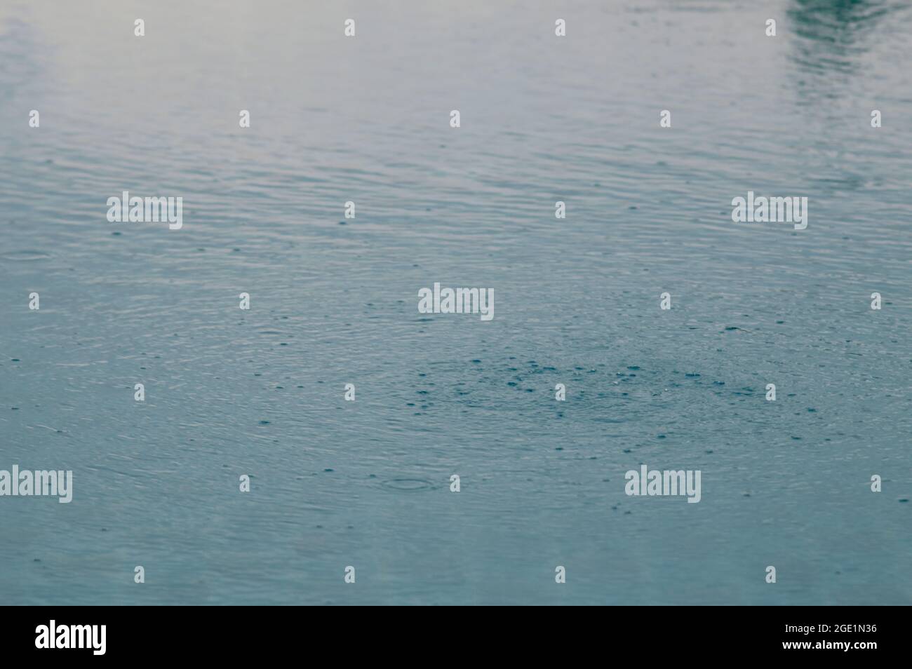 rain drops on the surface of water in a puddle with graduated shade of ...