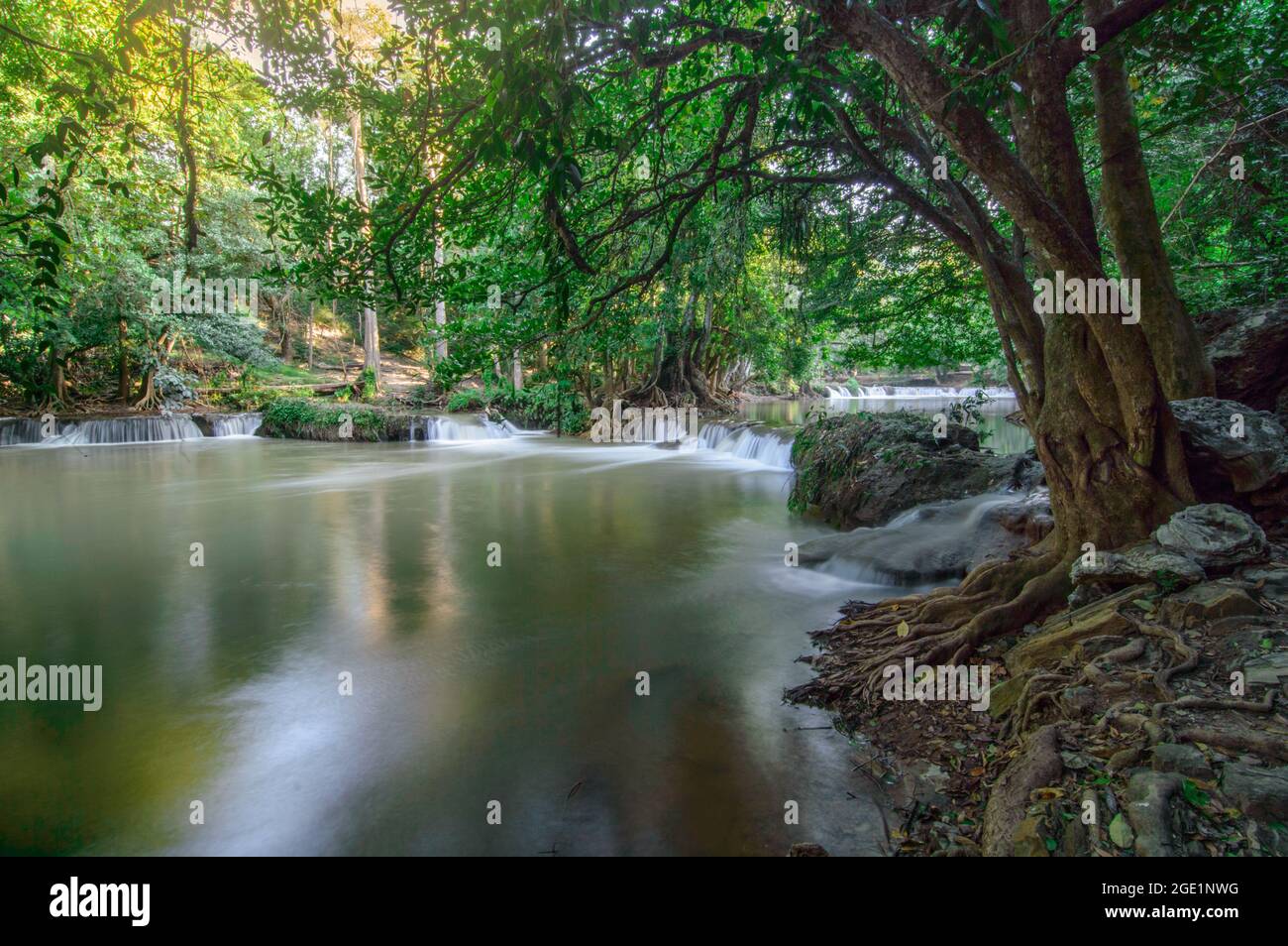 natural small waterfall lake in forest with many trees Stock Photo - Alamy