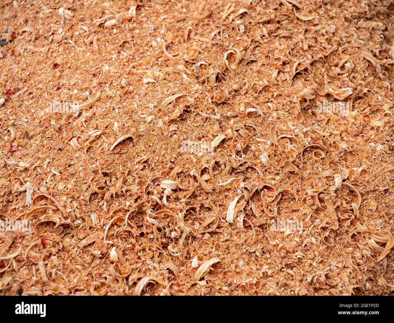 Sawdust texture background. Wood dust background closeup. Top view of ...