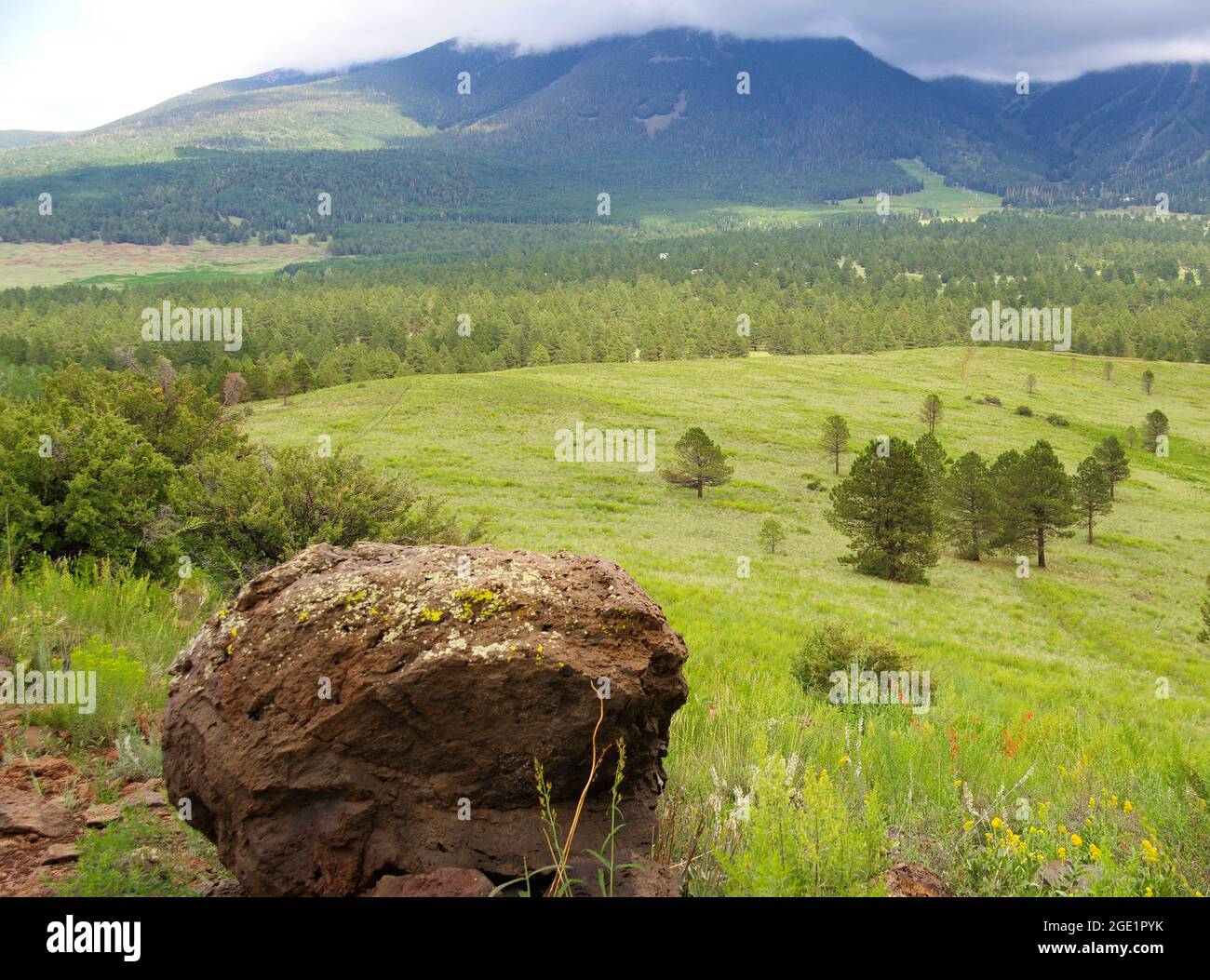 Hart prairie hi-res stock photography and images - Alamy