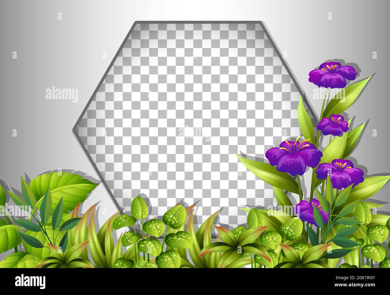 Hexagon frame transparent with purple flowers and leaves template ...