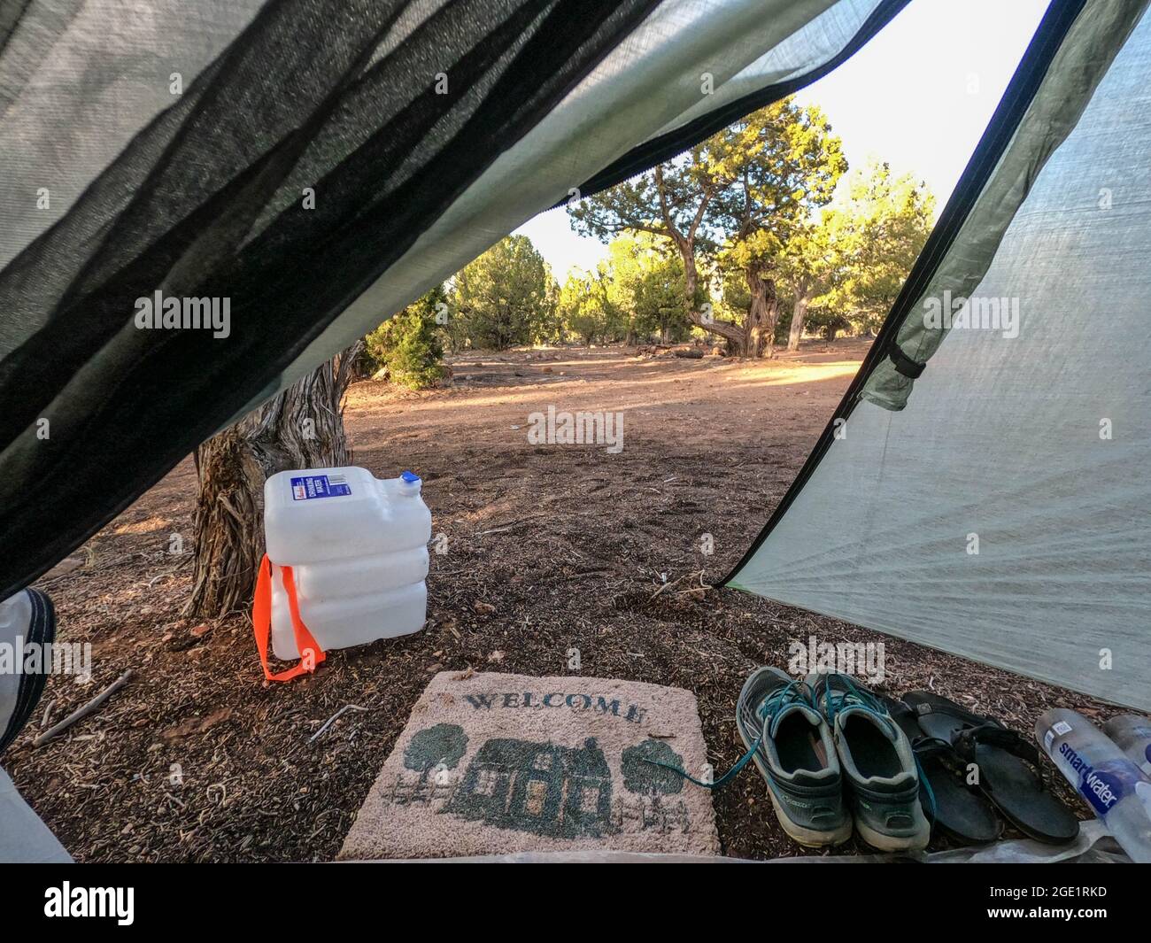 Camping on the Kaibab Plateau, Grand Canyon National Park, Arizona, U. S. A Stock Photo - Alamy