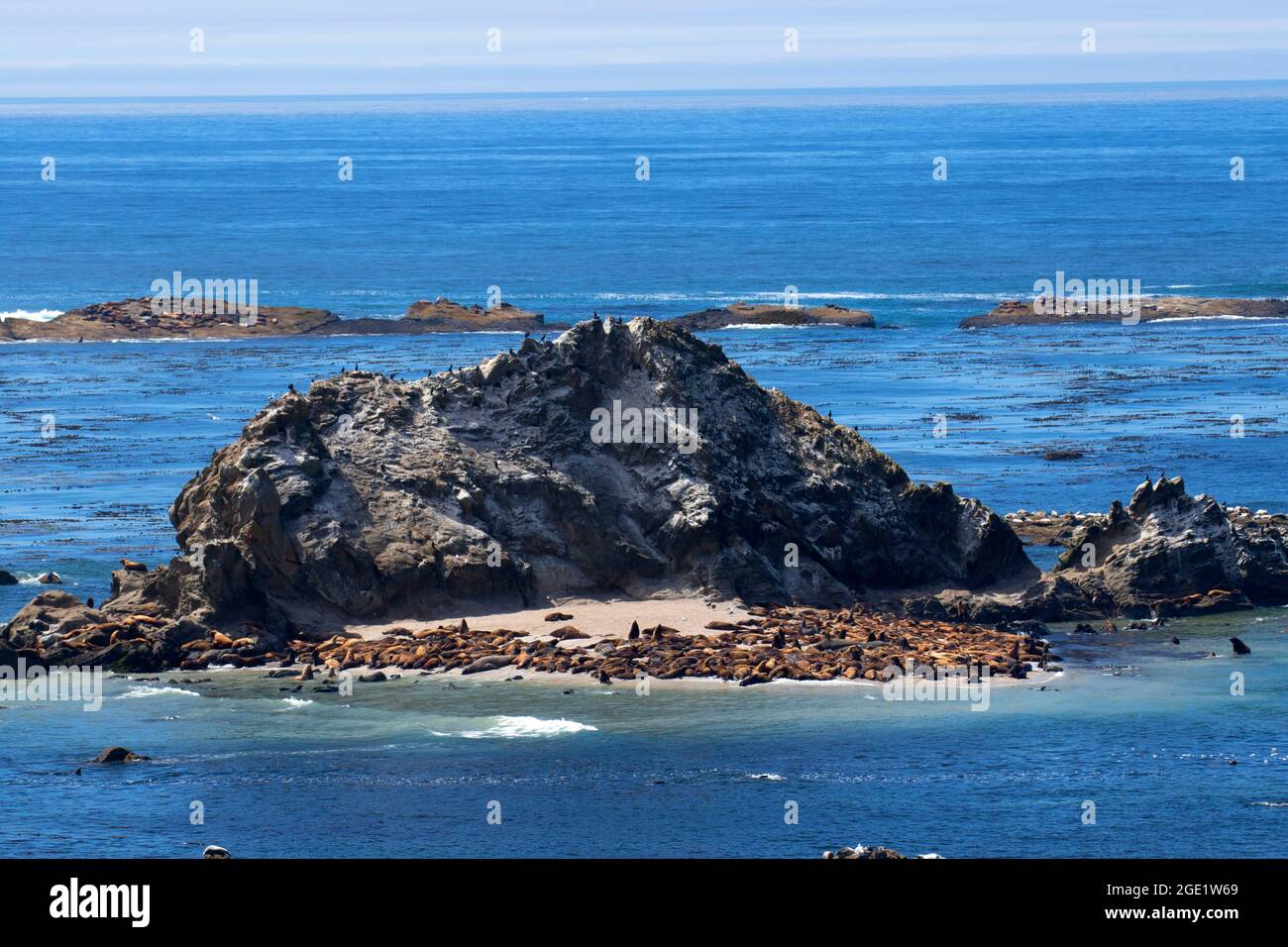 Shell Island view, Cape Arago State Park, Oregon Stock Photo - Alamy