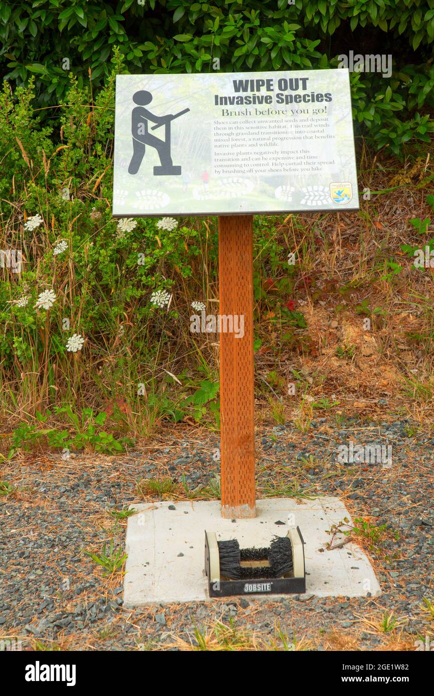 Invasive species sign hi-res stock photography and images - Alamy