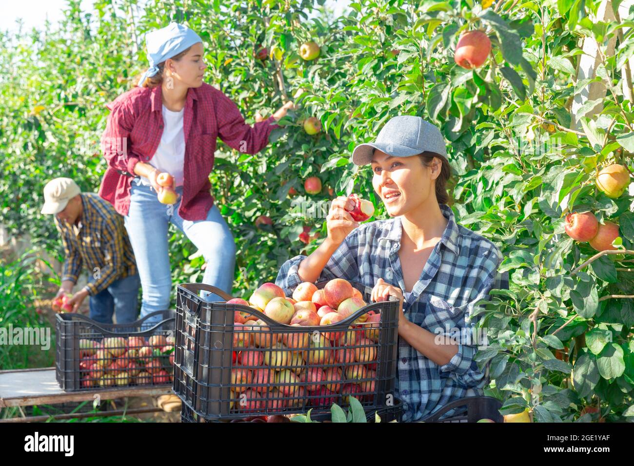 Biting fruit tree hi-res stock photography and images - Alamy