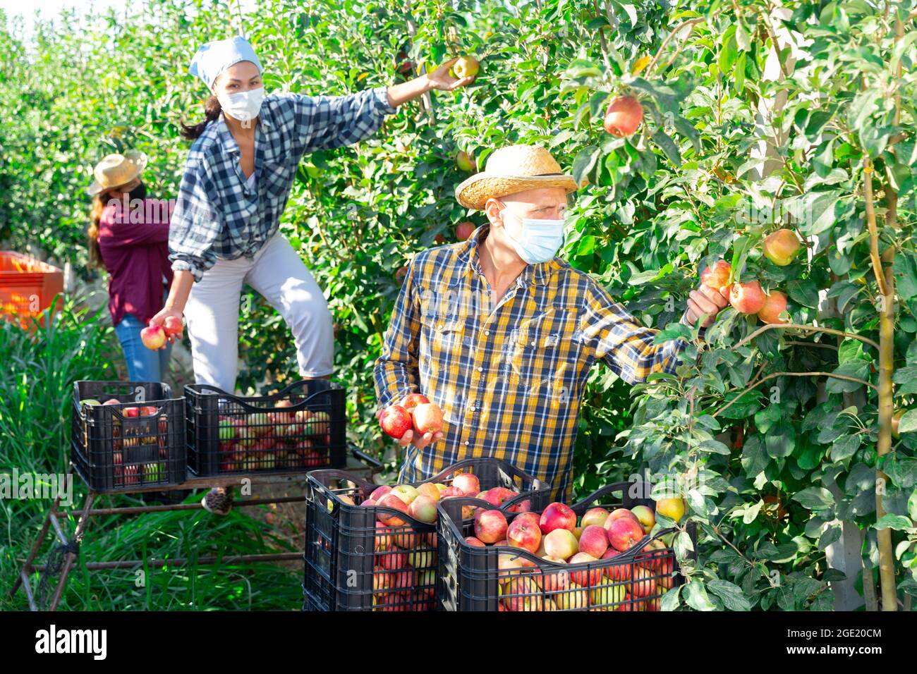 Group farmers in protective hi-res stock photography and images - Alamy