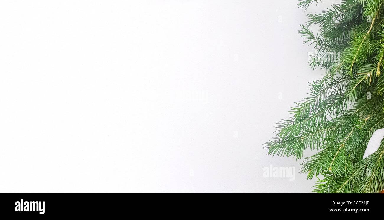 Christmas frame with Christmas tree branches on a white horizontal ...