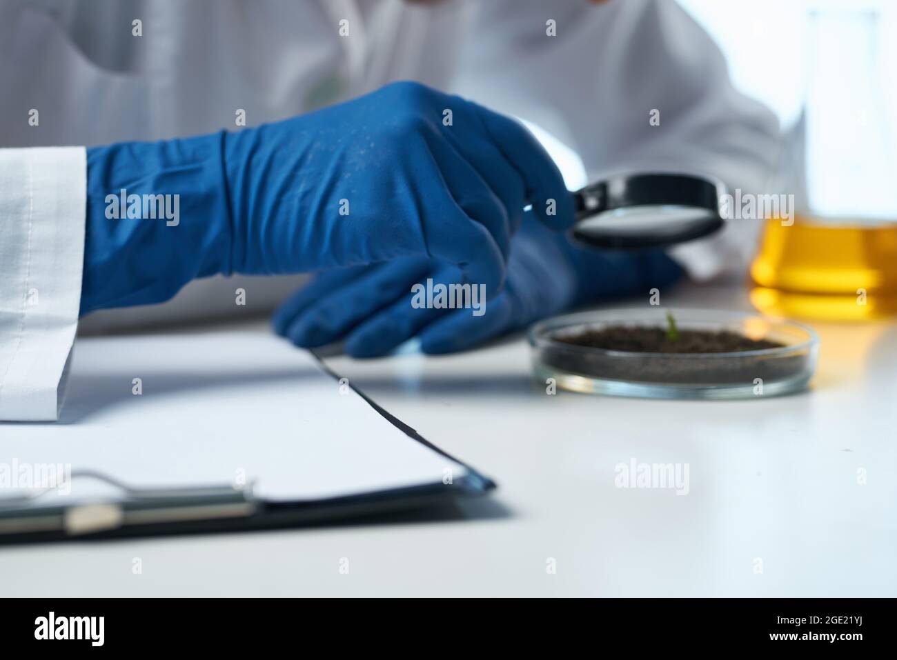 female laboratory assistant looking through a magnifier biology follow ...