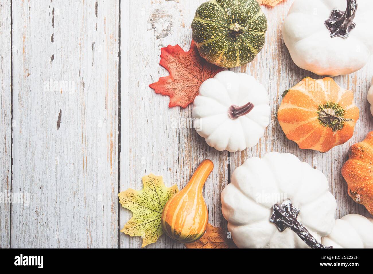 Autumn side border of white pumpkins and autumn leaves over a rustic ...